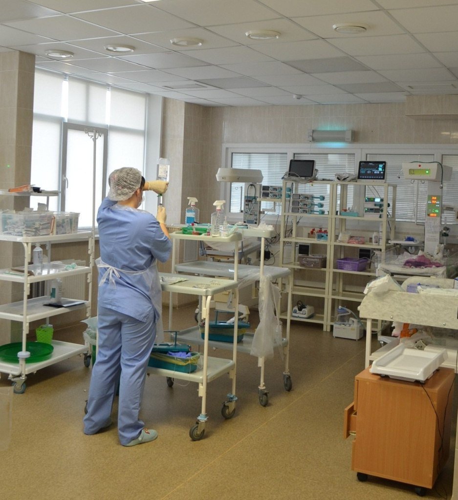 Два ребёнка пострадали в Удмуртии от нападения гадюк // ИА Сусанин ...